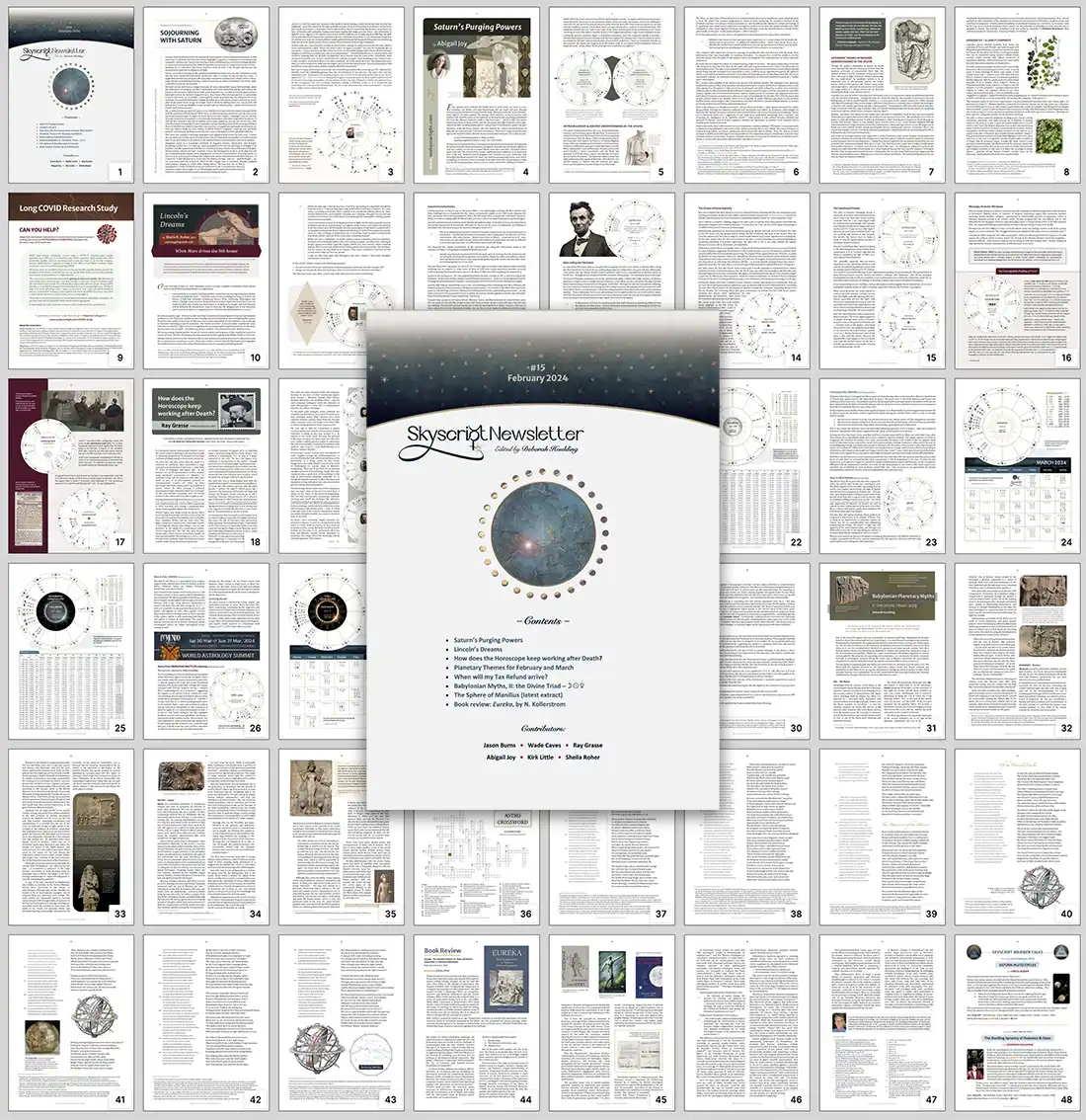 Skyscript newsletters